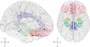 Computational Neuroscience – EMOTIV
