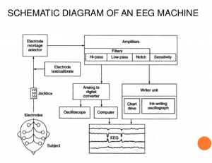 What is an EEG Machine? – EMOTIV