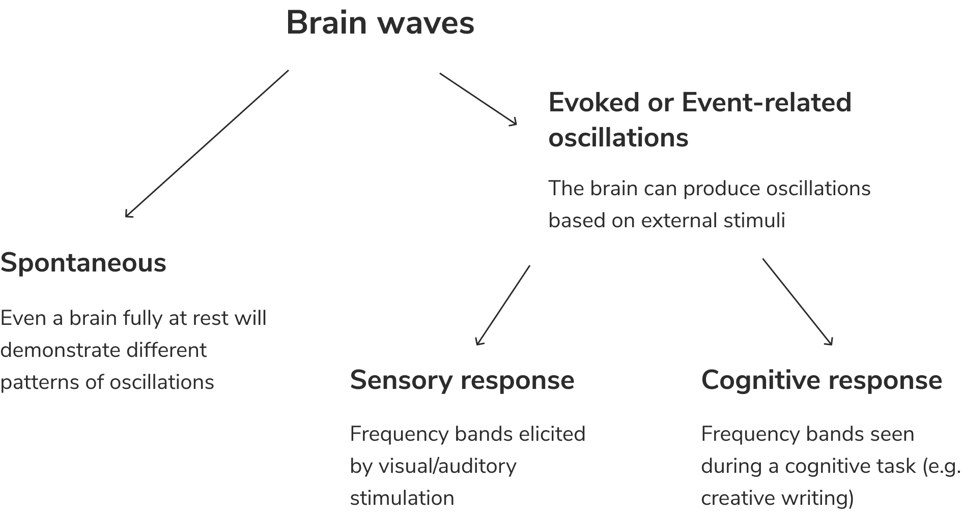 Basics of Neural Oscillations – EMOTIV