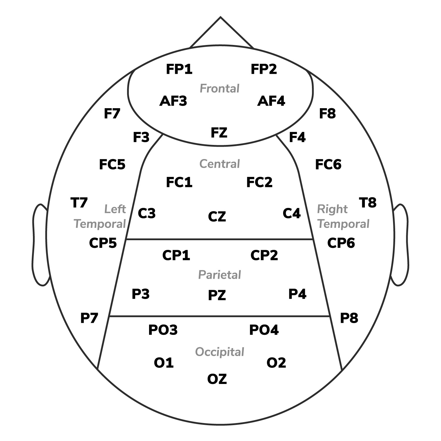 Basics of Neural Oscillations – EMOTIV