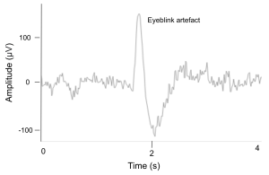 Basics of Neural Oscillations – EMOTIV